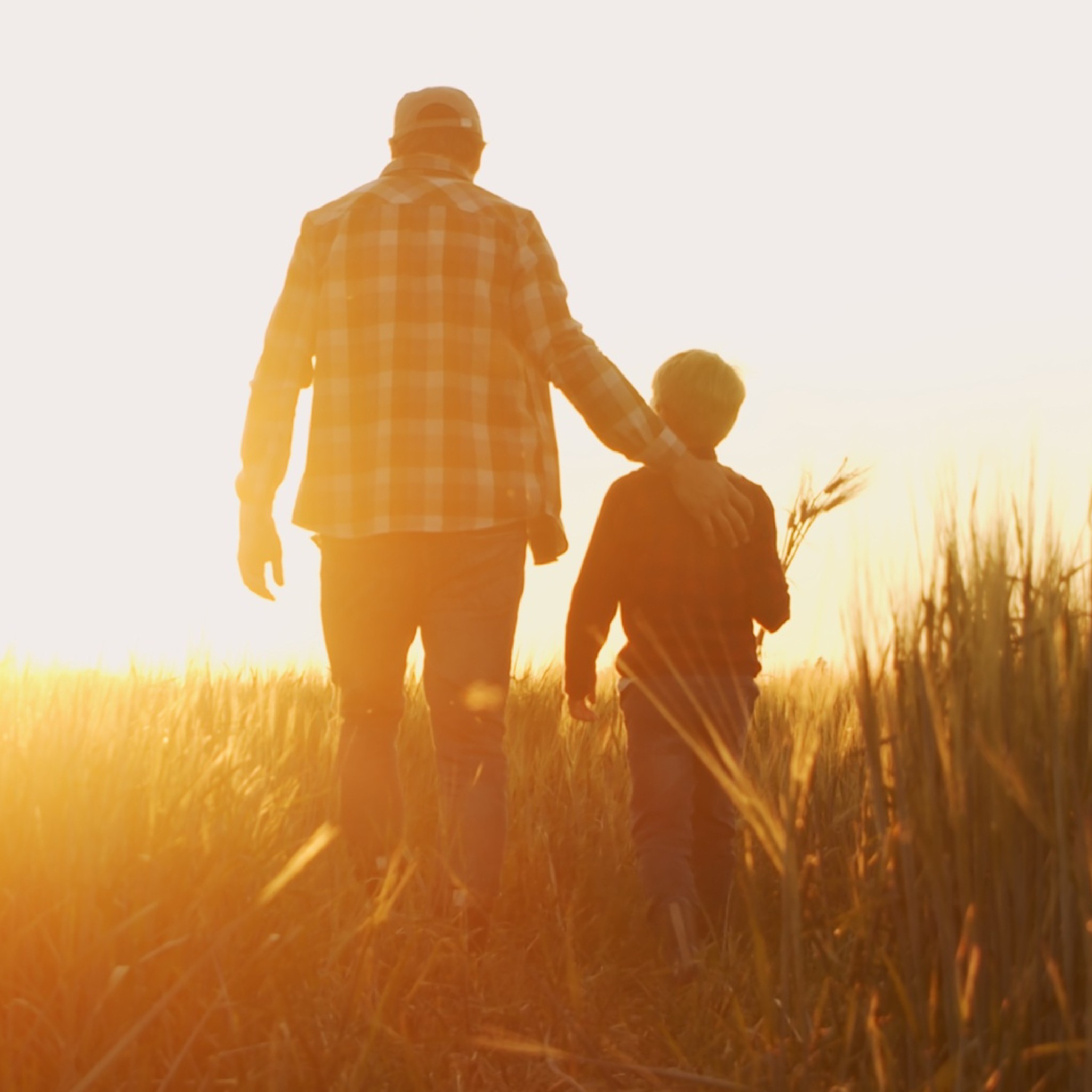 Chi Siamo - Panfertil - concimi e fertilizzanti